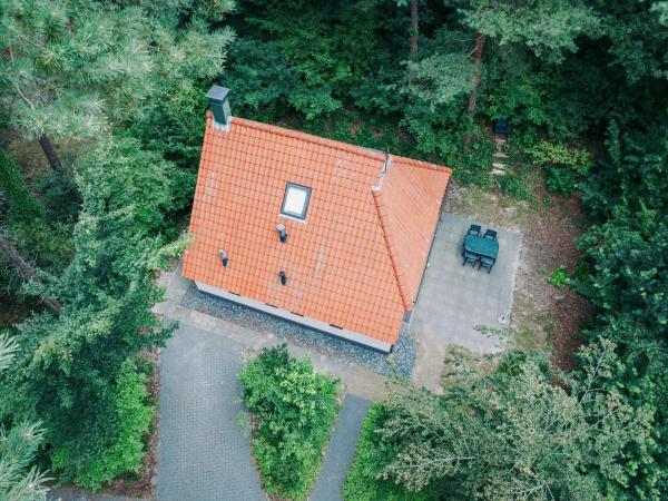 The Molshoop - In The Middle Of The Forest - Dalfsen