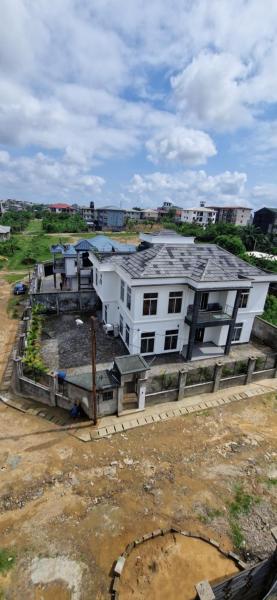 The White House - Douala