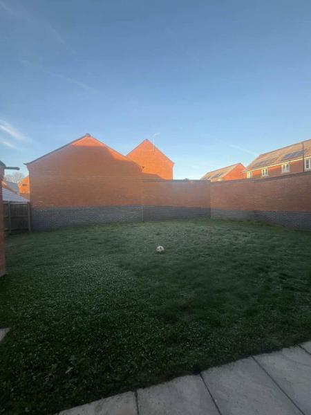 Hnh Housse - Leicester