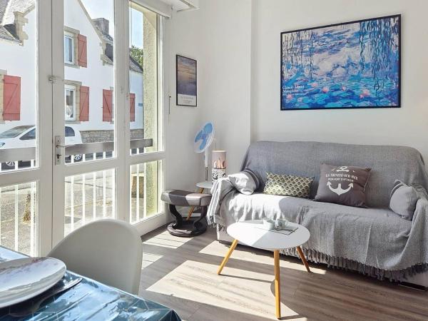 Appartement Douillet Avec Animaux - 2 Pers. - Fr-1-477-276 - La Trinité-sur-Mer