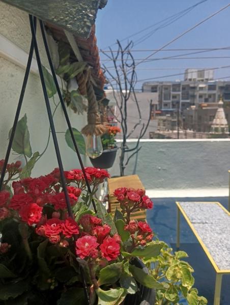 Love Story Terrace Tent - Kolhapur