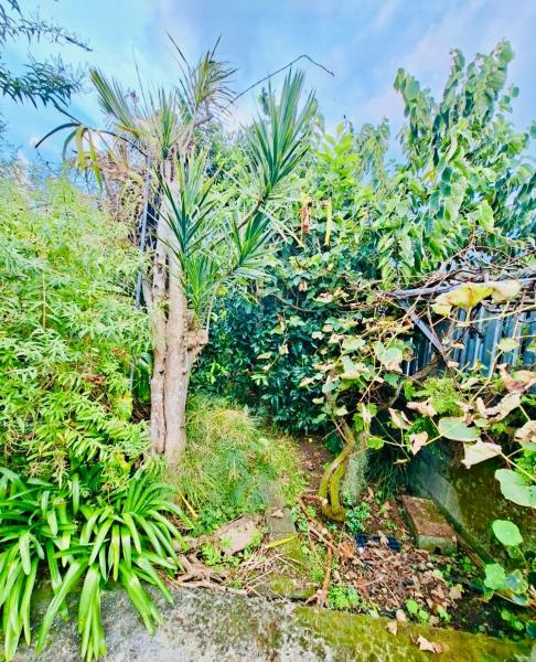 La Kaz Montagne Authentique - La Réunion