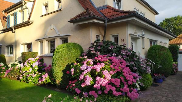 Ferienwohnung Bleichen - Stralsund