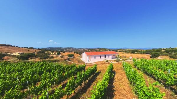Il Sughereto In Vigna - Portobello