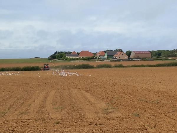La Ferme Des 4 Vents - Audresselles