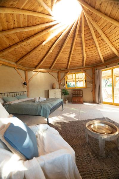 Treenity Hut - Carregal do Sal