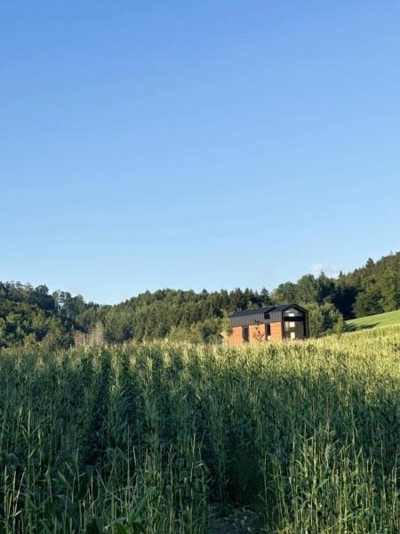 Zuhause Im Freien - Überlingen