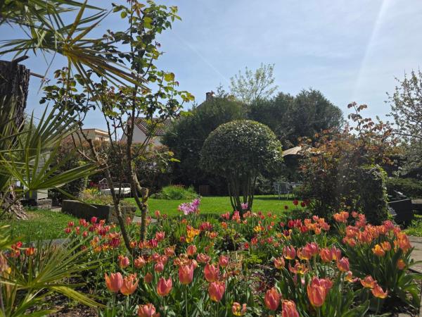 Le Nid Des Volcans, Jardin, Brasero & Bain Nordique - Châtel-Guyon