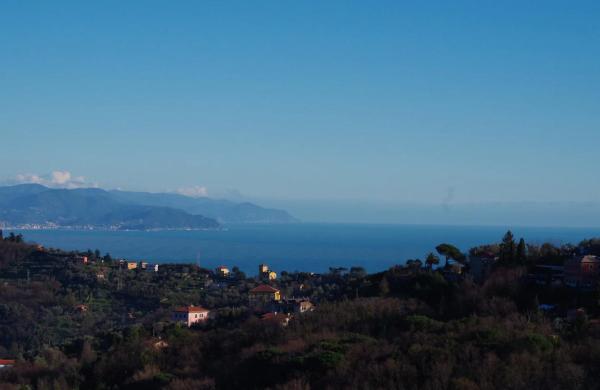 Fattorialmare Blu - Portofino