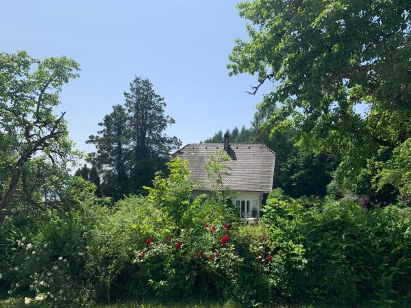 Ferienhäusle 1a - Schopfheim