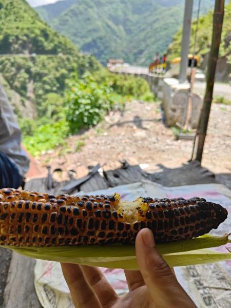 New Tourist Homestay - 穆索里