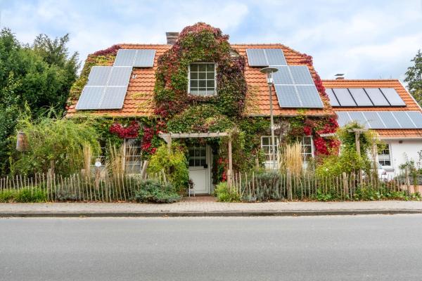 Menschen Meehr Und Wilder Wein - Wangerooge