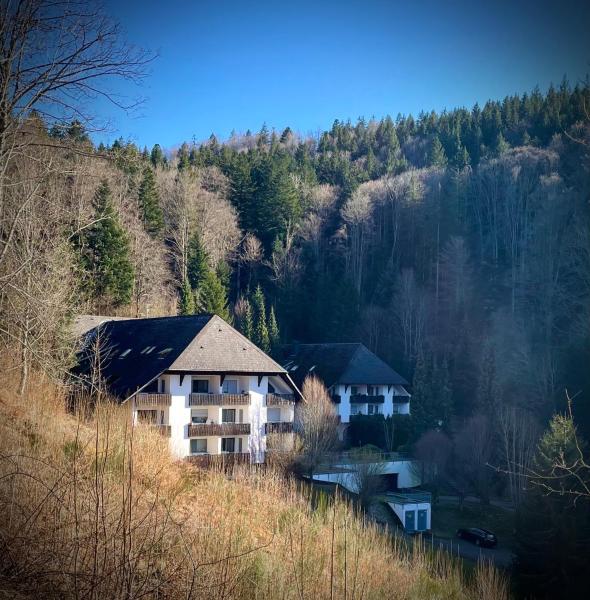 Ferienwohnung Riese - Triberg