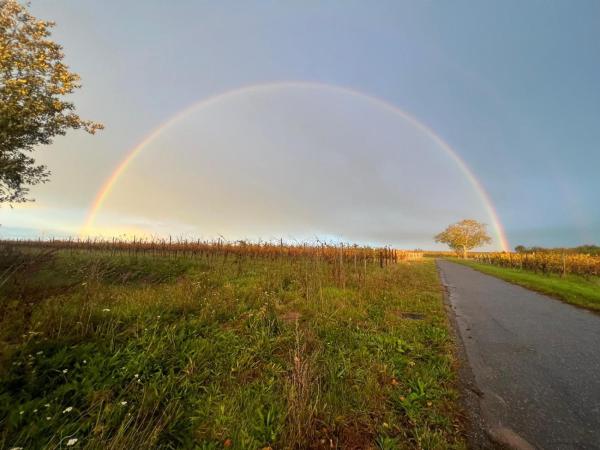 Rebella - Leinsweiler