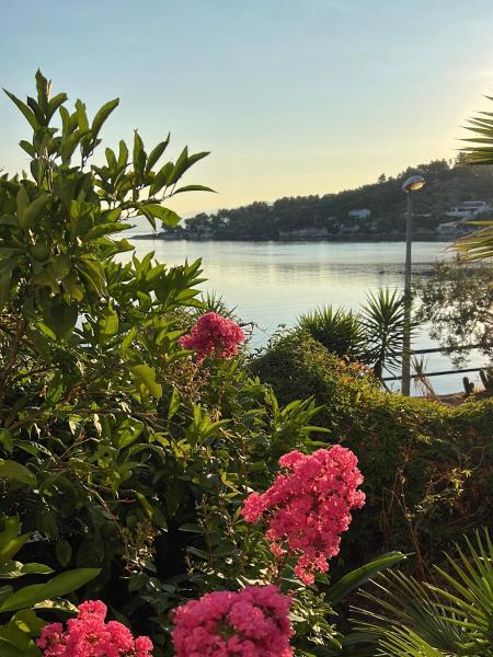 Apartment Rose - Milna