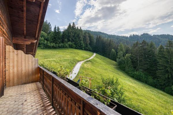 Grödnerhof Almöhi - Deutschnofen