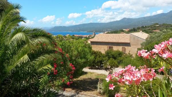 Appartement Avec Terrasse Vue Mer - Olmeto