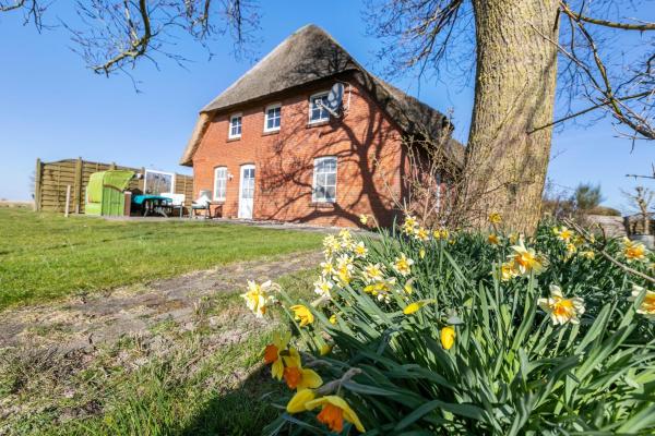 Hus Tingeltut Gerd Clausen - Hooge