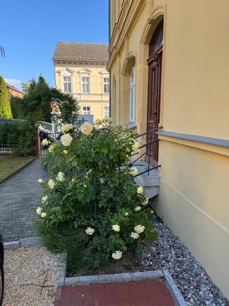 Altstadt Quartier - Bad Freienwalde (Oder)