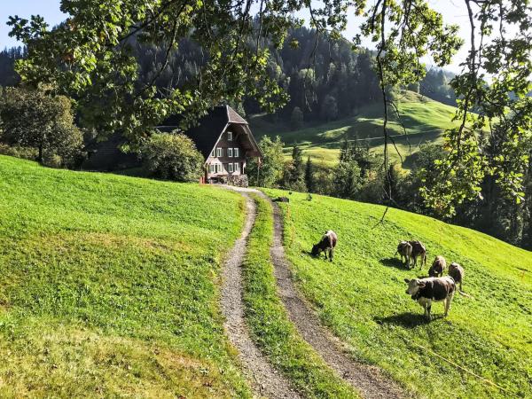 Holiday Home Rüttimätteli By Interhome - Brienz