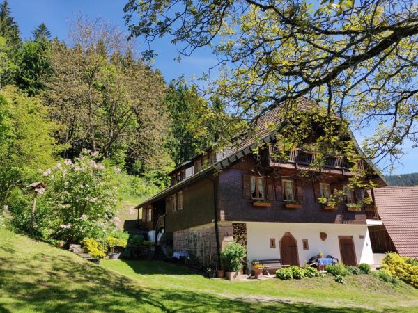 Ferienwohnungen Vogt's Libding - Kniebis
