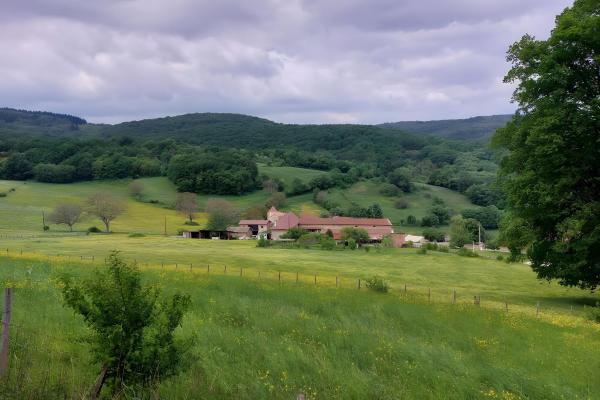 Gîte De Vaux Entre Vignes Et Forêt - Mâcon