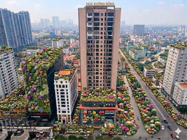 Hoa Xương Rồng 402tk21ai - Hanoi