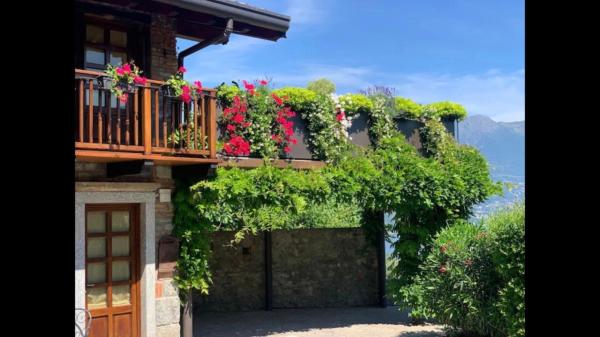 Splendido Cottage Lakeview - Lierna