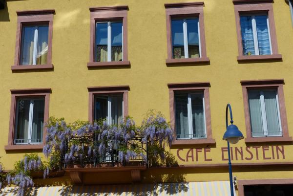 Apartments Im Cafe Einstein - Freiburg