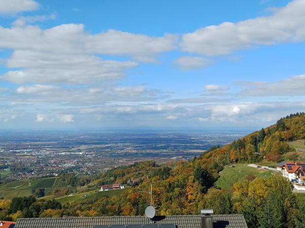 Appartement Bergluft - Sasbachwalden