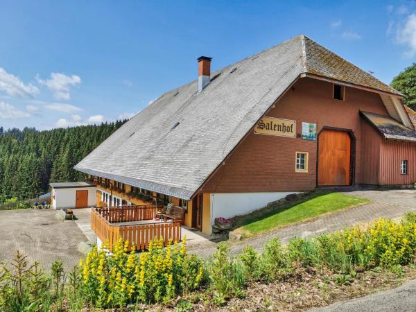 Salenhof - Titisee-Neustadt