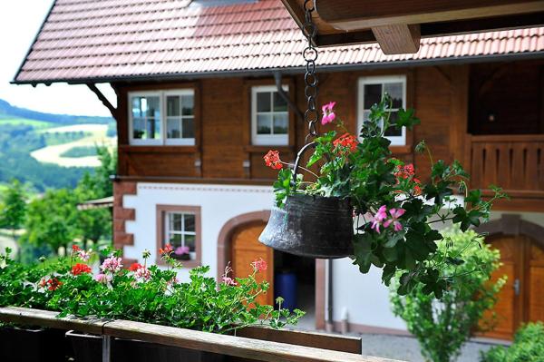 Riehle Hof - Gengenbach