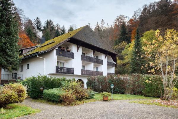 Ferienwohnung Bergblick - Triberg