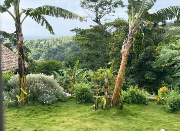 Kilimanjaro Forest Lodge And Camping Site - Tanzanie