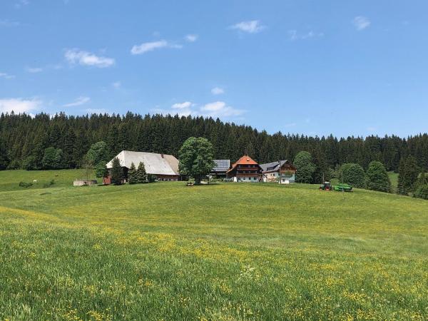 Rengethof - Simonswald