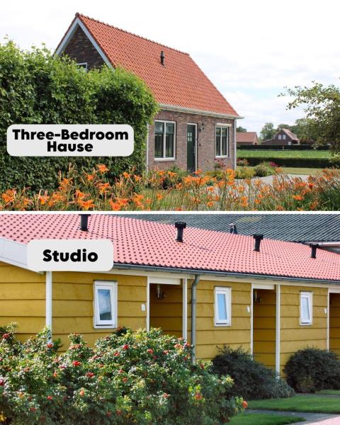 Sint Anthonijshoek - Dishoek