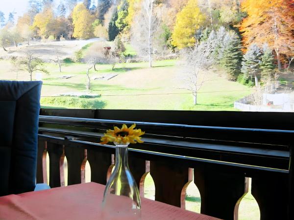 Haus Mühlgrund - Bad Wildbad