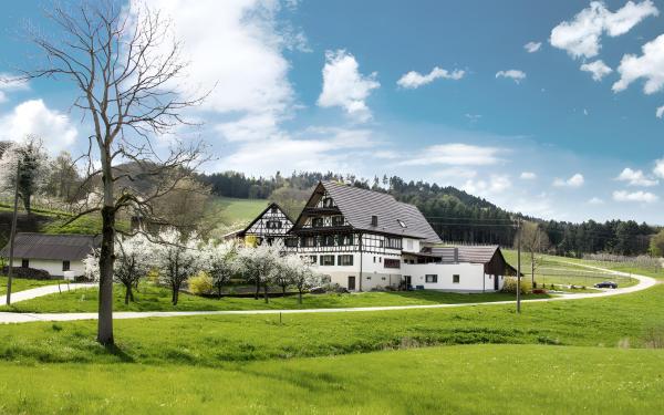 Ferienwohnungen Danner - Oberkirch