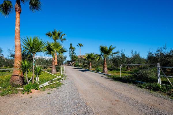 El Paraíso Del Olivar - Sanlúcar la Mayor