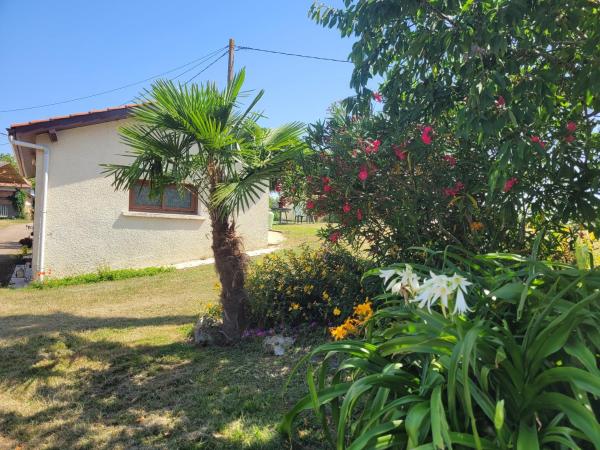 Le Gite De Gayssanes - Moissac
