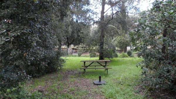 Gîte à La Ferme Rez De Jardin - Tiuccia