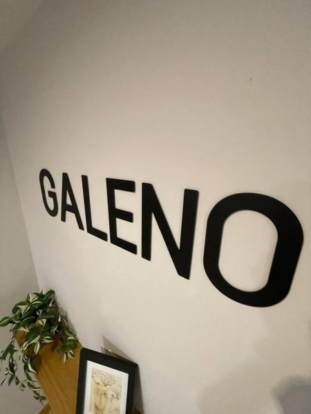 Galeno, En El Centro De Cangas De Onís - Cangas de Onís