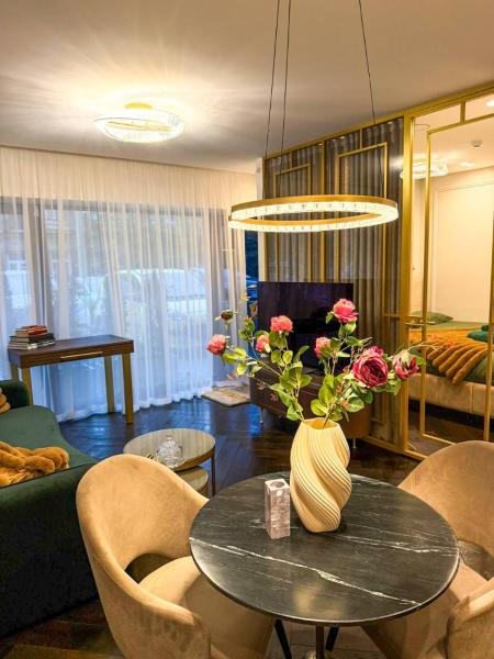 Vilnius Luxurious Flat - Vilnius