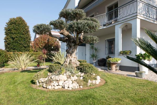 L'ulivo Bed And Breakfast - Emilia-Romagna