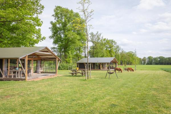 Lodge 1 - Nederland