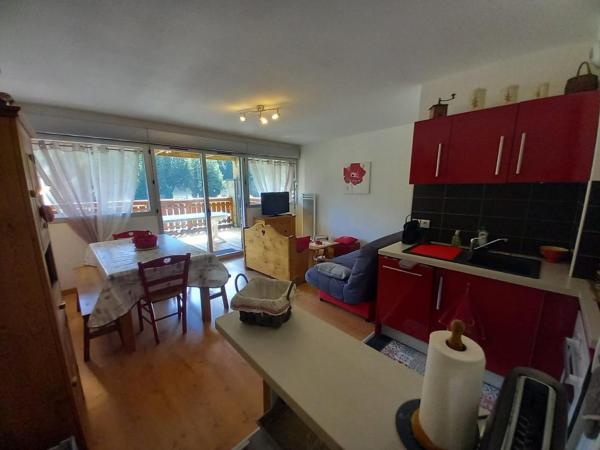 Appartement Rez-de-chaussée, Parking - 6 Pers. - Fr-1-787-150 - Le Lioran (Super Lioran)