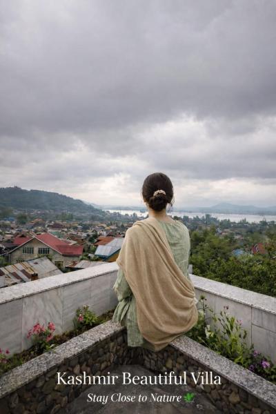 Kashmir Beautiful Villa - Srinagar