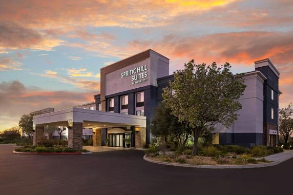 Springhill Suites By Marriott Lancaster Palmdale - Lancaster