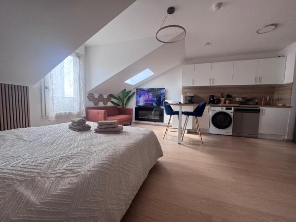 El Cubanito Havana - Studio 30m2 - Aéroport Cdg & Paris - Le Bourget