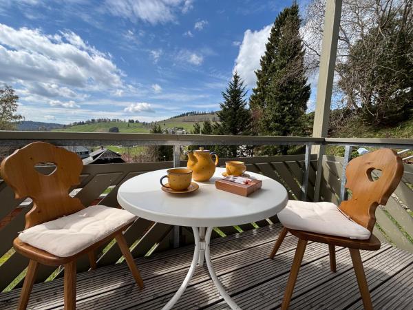 Ferienwohnung 1 - Residenz Schauinsland Im Wanderparadies An Skilift & Loipe Panoramablick, Sauna Im Haus - Bade-Wurtemberg